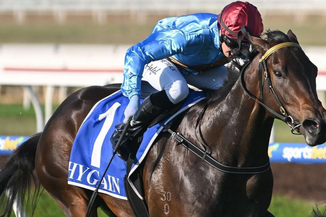 $1m Showdown: Michael Trotter bullish about Apache Song and Beaunified