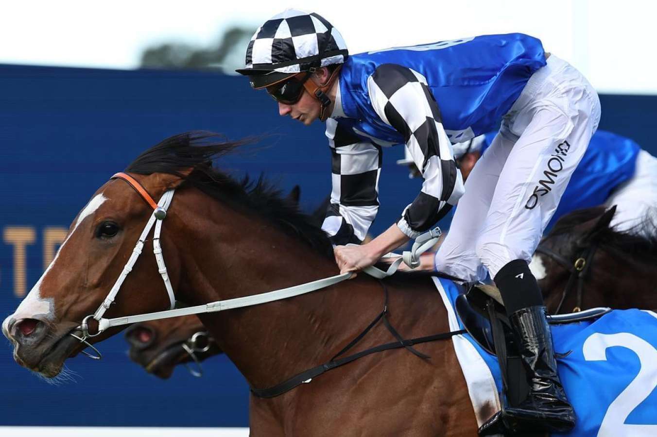 Rosehill: Hard work pays off for apprentice Ben Osmond