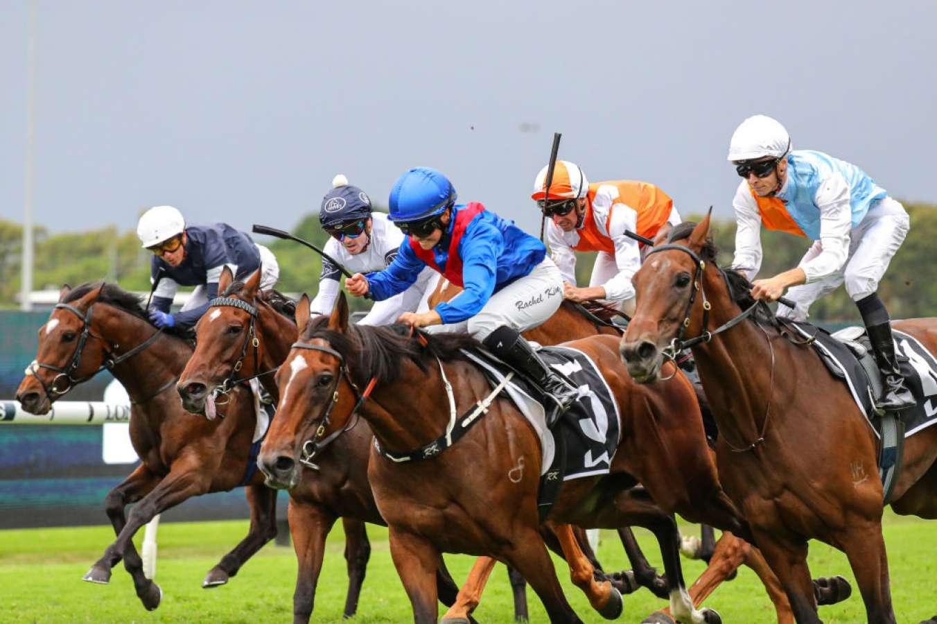 G1 Tancred Stakes: What the jockeys said at Rosehill