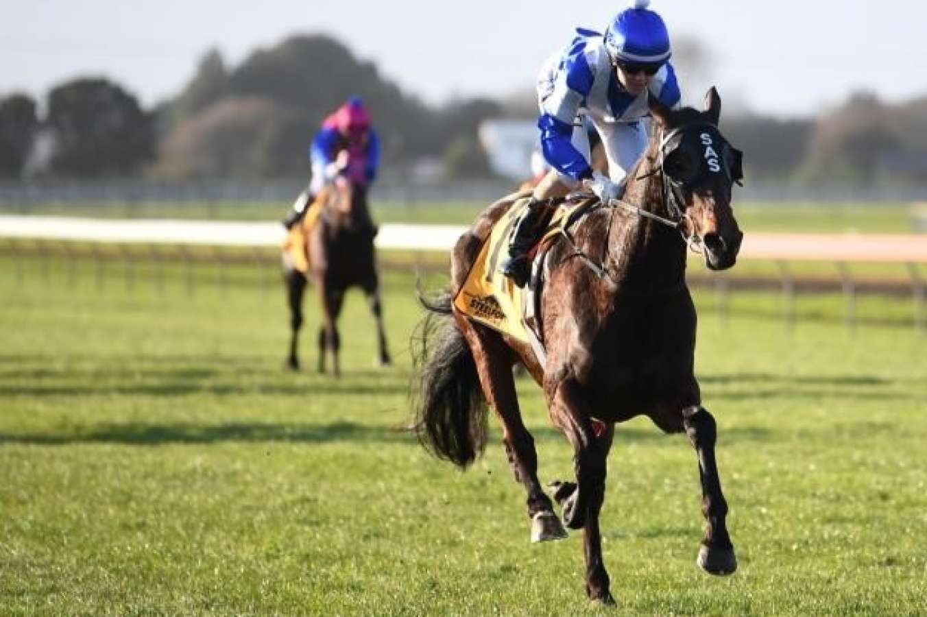 Apprentice Hazel Schofer rides six winners on Hawera card