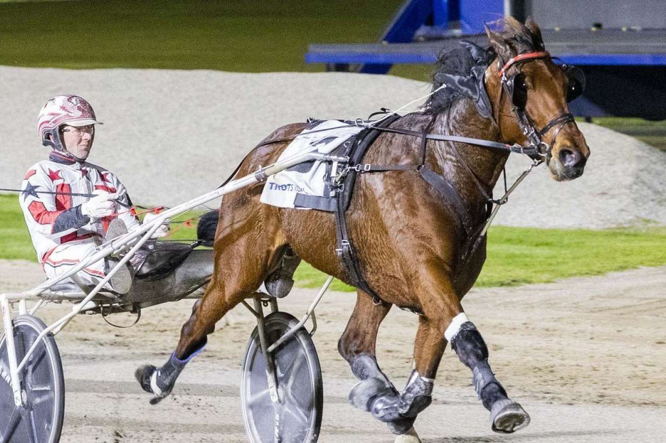 Harness racing: Chris Svanosio's Queensland plans coming into shape