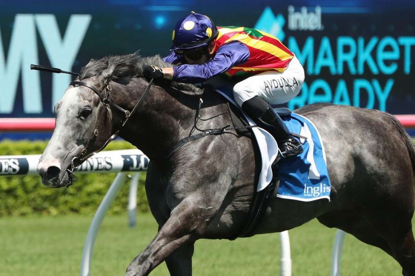 Rain will be a bonus for Cranbourne Cup contender Ascension