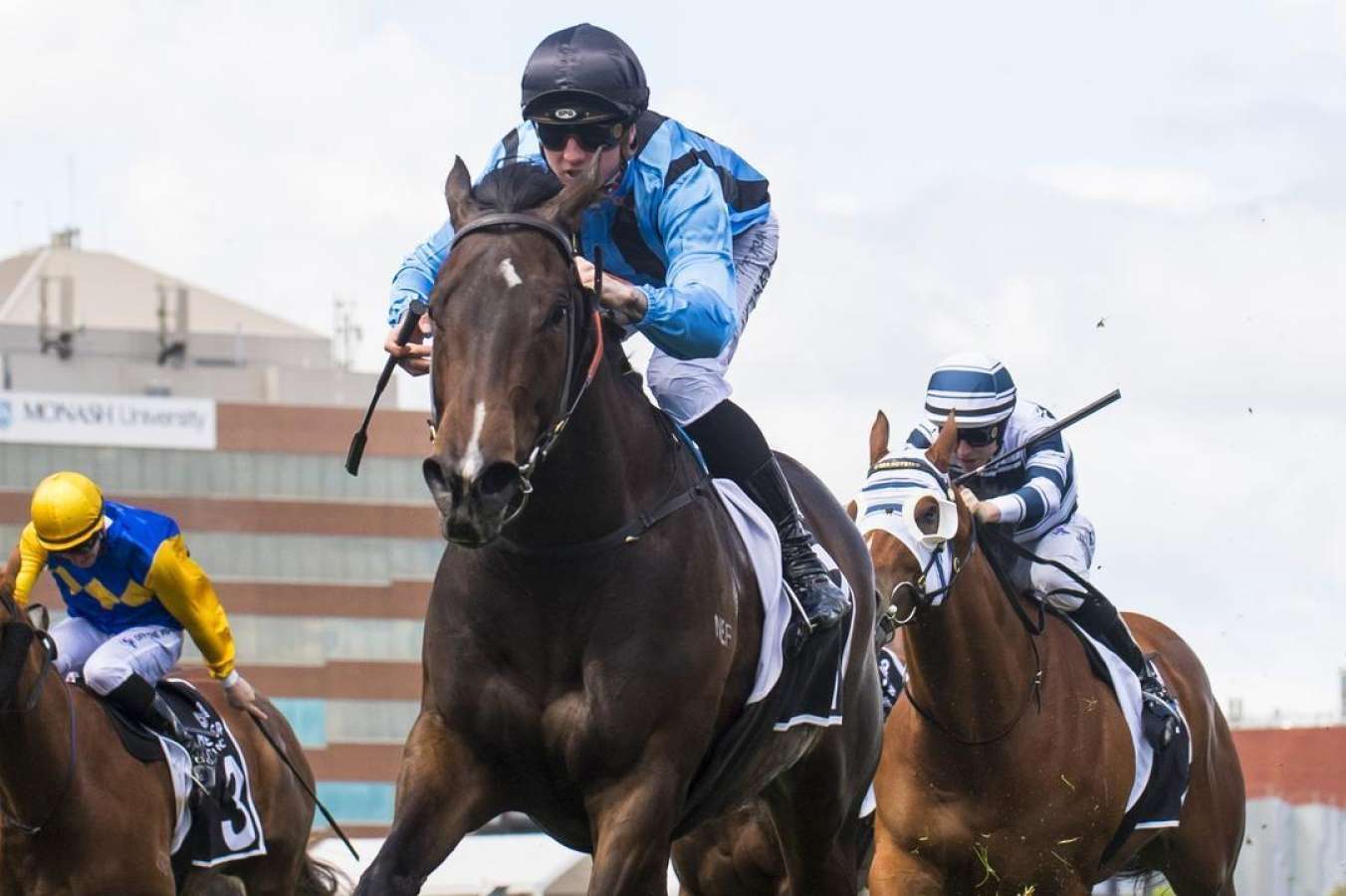 Henry Dwyer sprinter Asfoora kicks off UK campaign with fourth at Haydock