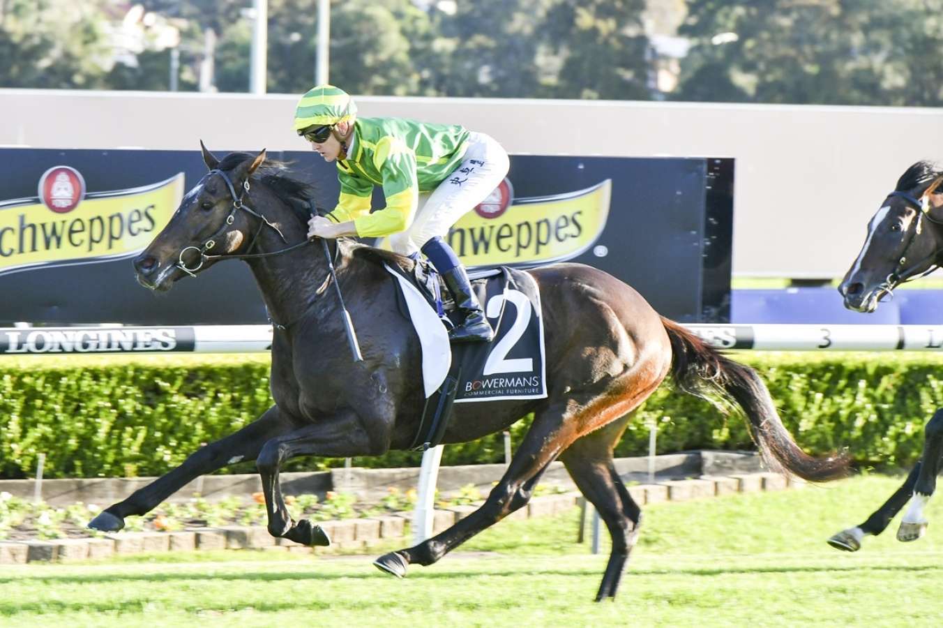 Doomben preview and tips: Saturday, August 17