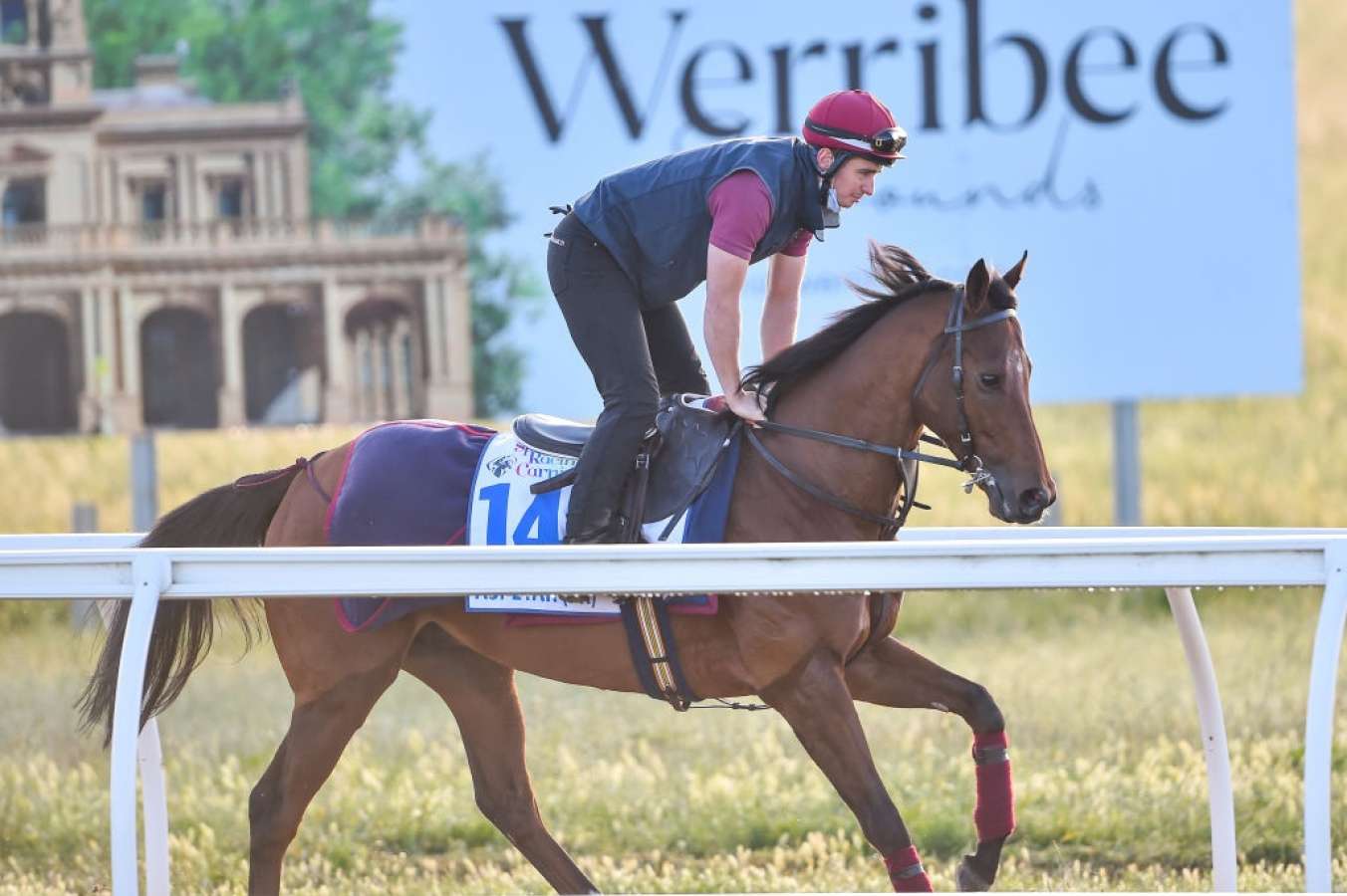 Mick Kent pleads for Werribee closure as training centre for ...