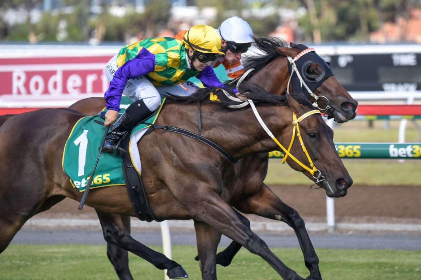 Astro Castro - Australian racing's most popular 'non-winner'