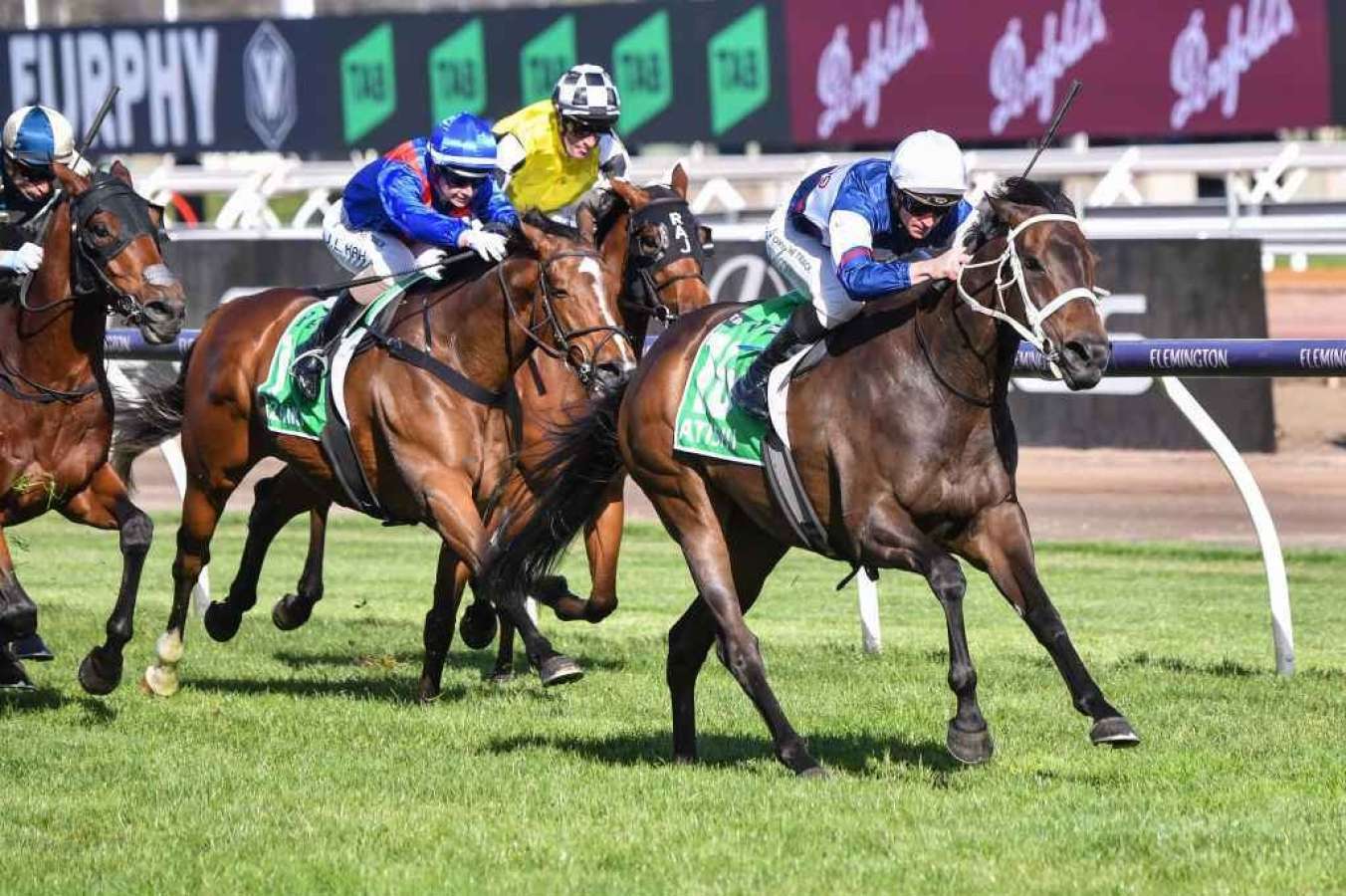 Champions Stakes Field - 2024