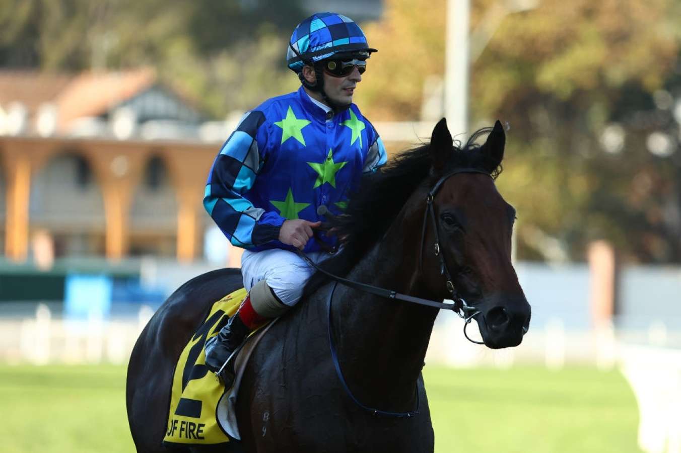 Italian jockey Andrea Atzeni takes aim at Caulfield Cup with help from ...