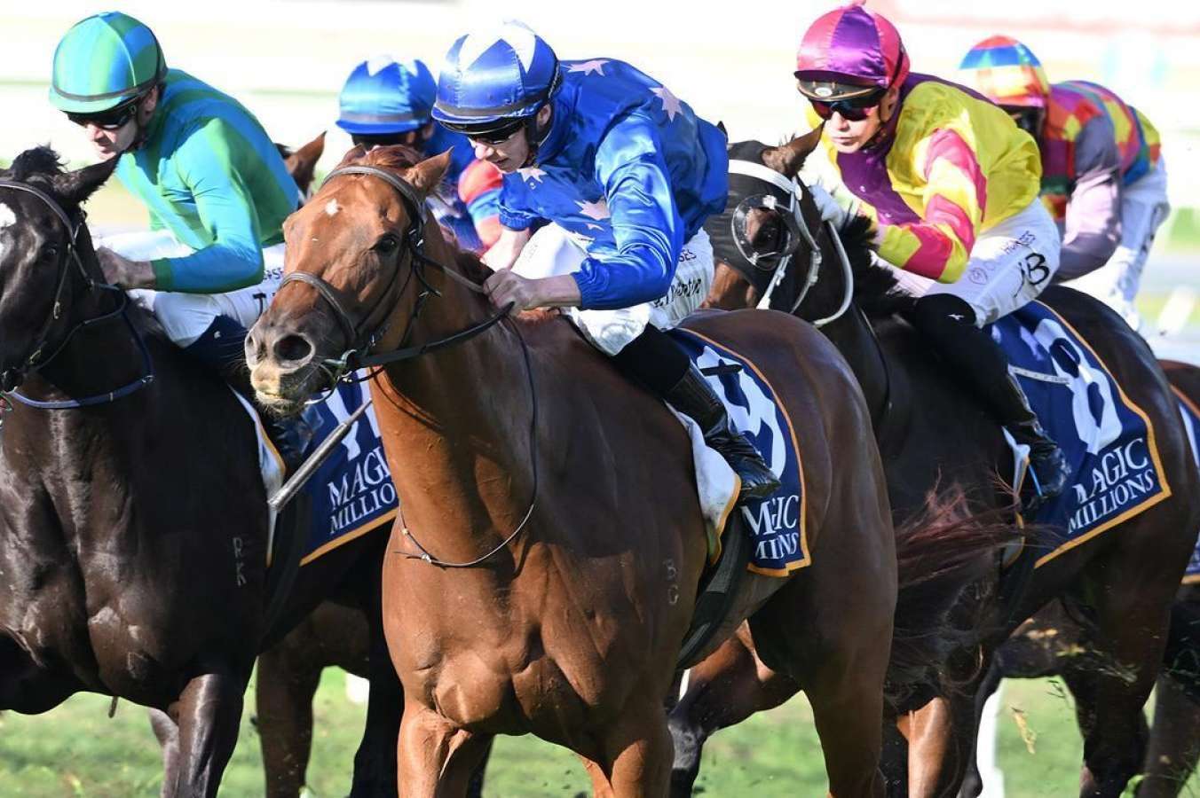 Munce's Angel sprouts wings to win Bright Shadow