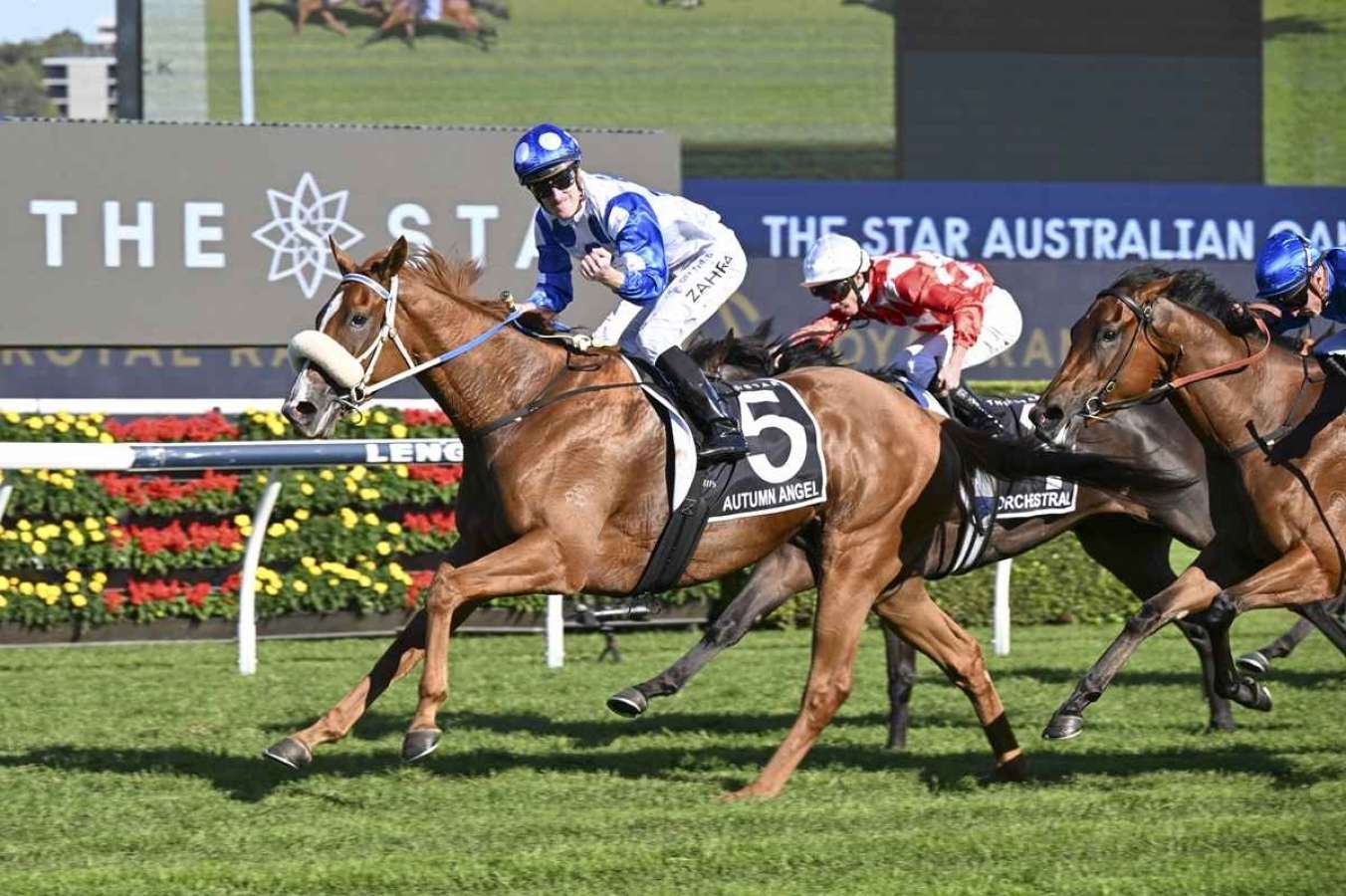 Australian Oaks Field - 2025