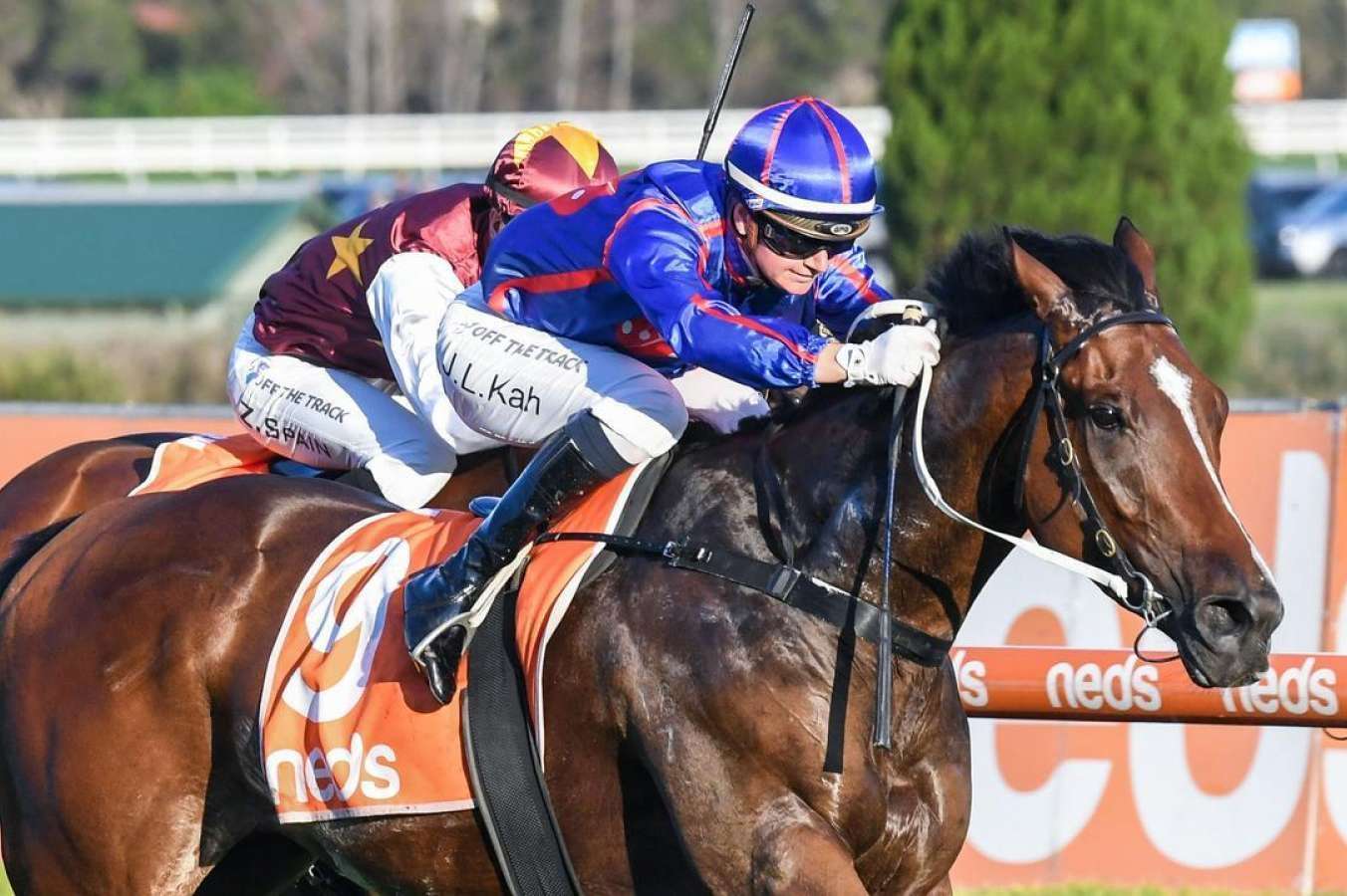 Sir Rupert Clarke Stakes: I Wish I Win stranded as emergency as Ayrton ...