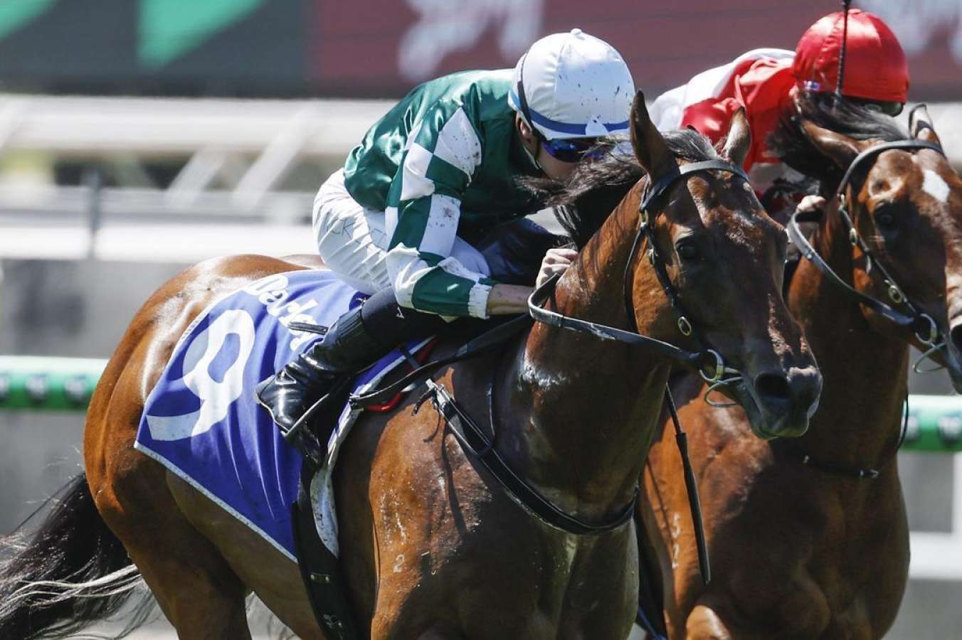 Bacash to audition for Magic Millions 2YO Classic ticket at Caulfield Heath