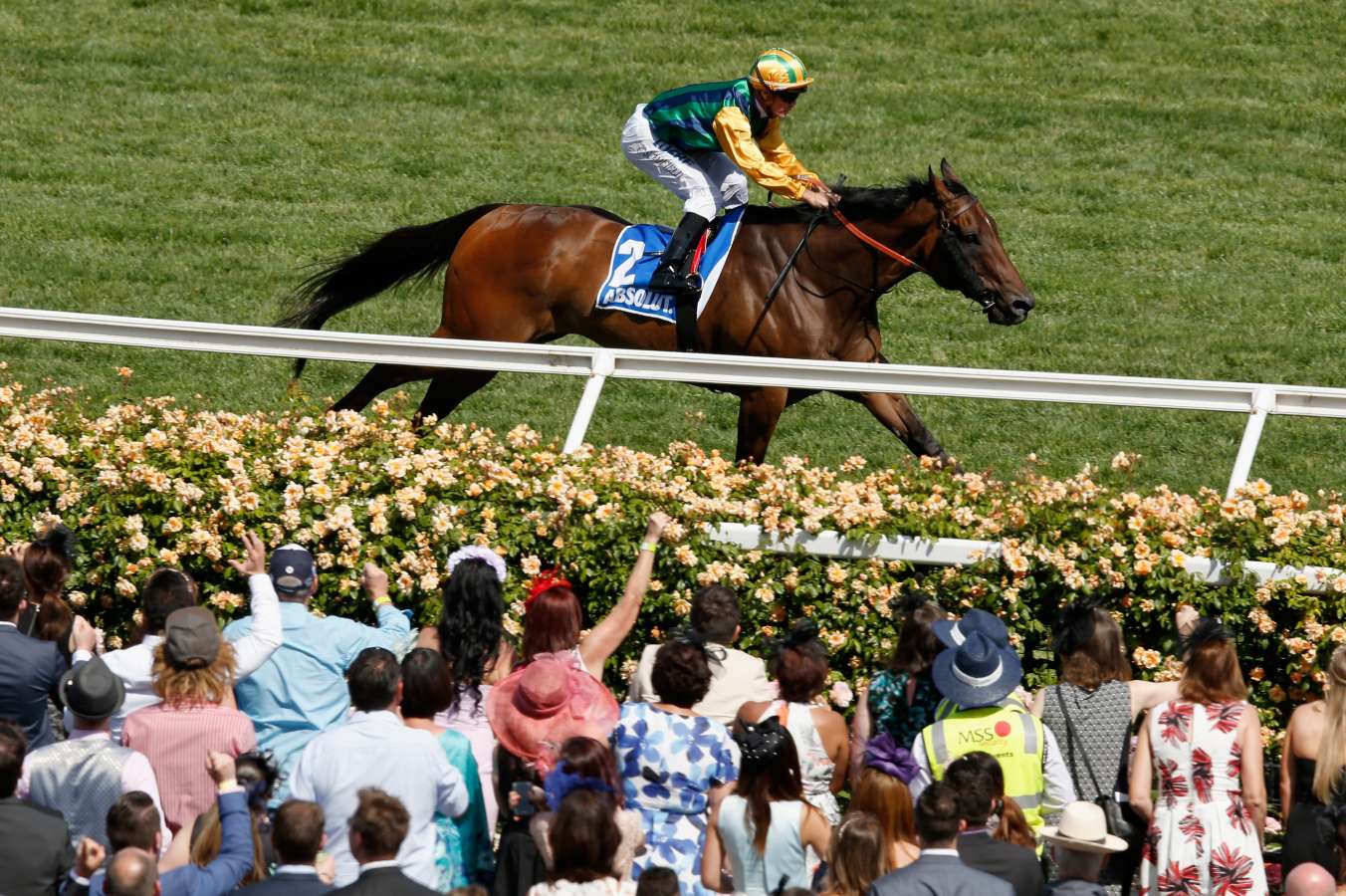 Ball Of Muscle to miss Perth carnival