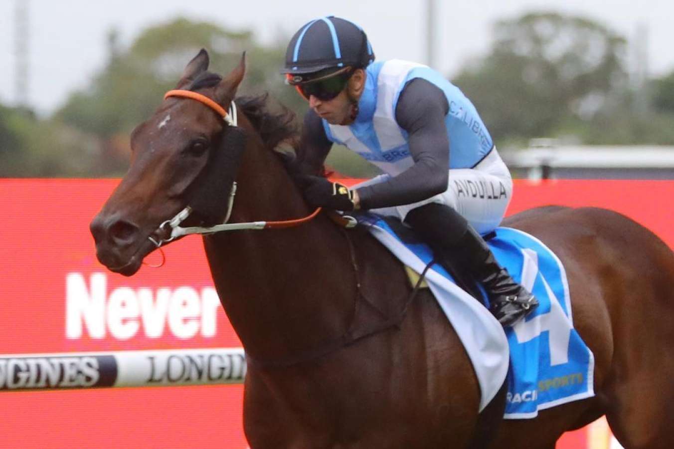 2024 Memsie Stakes: Josh, Chris Barrett saddle Bandersnatch