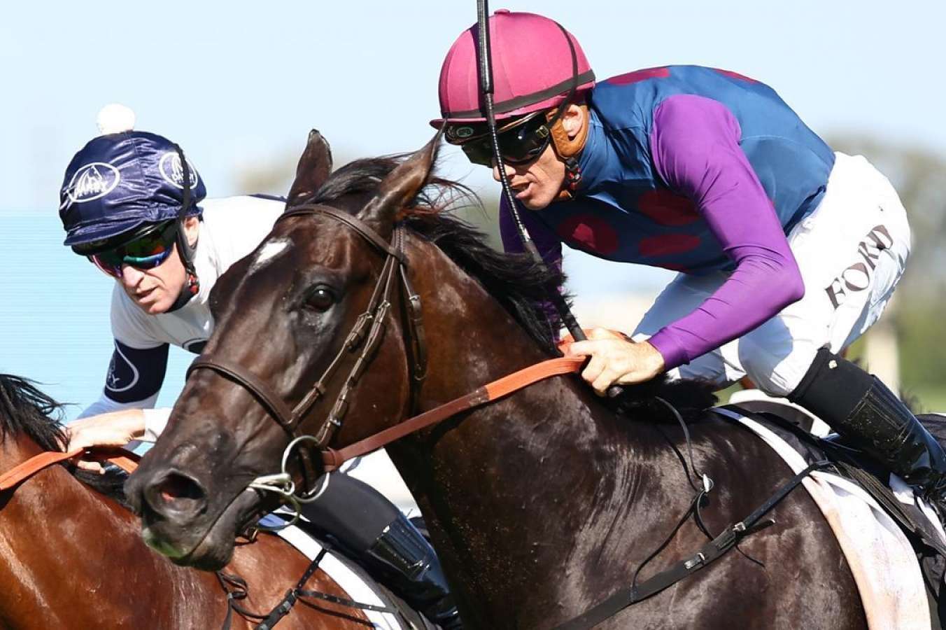 Favourite in doubt for Country Championships Final