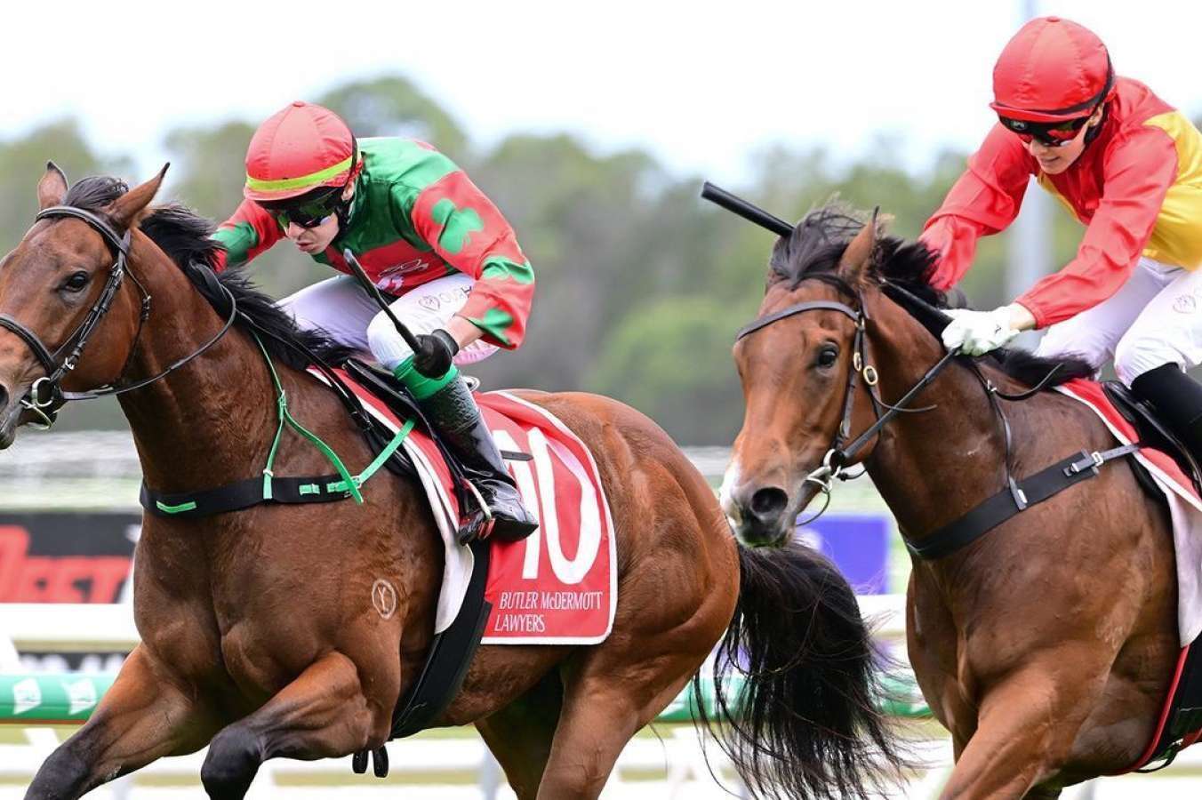 Tony Gollan keeps faith in spruik filly