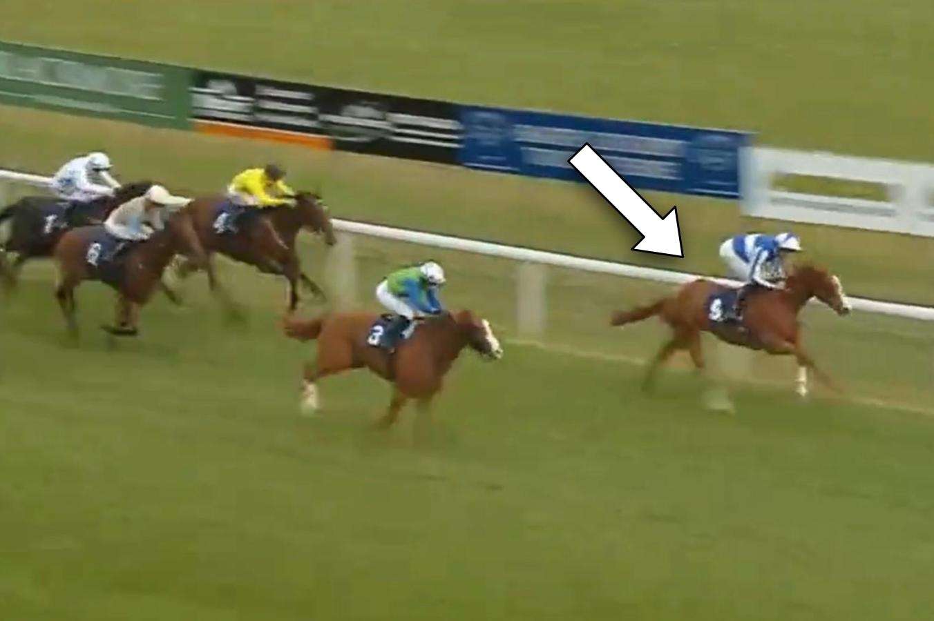 Power off: Jockey suspended for 28 days after easing up