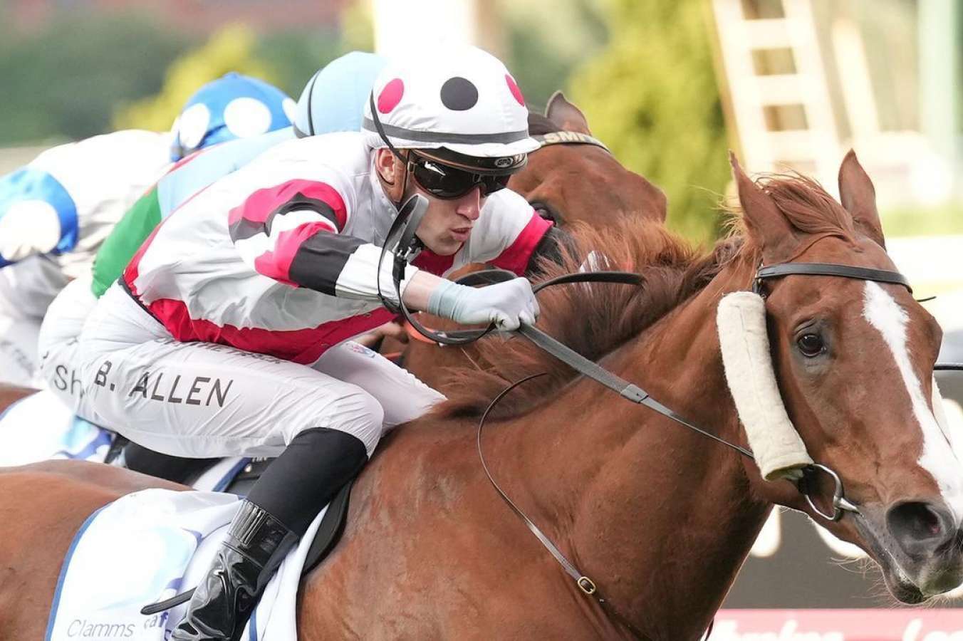 Jockey Ben Allen preparing for 2024 Melbourne autumn carnival