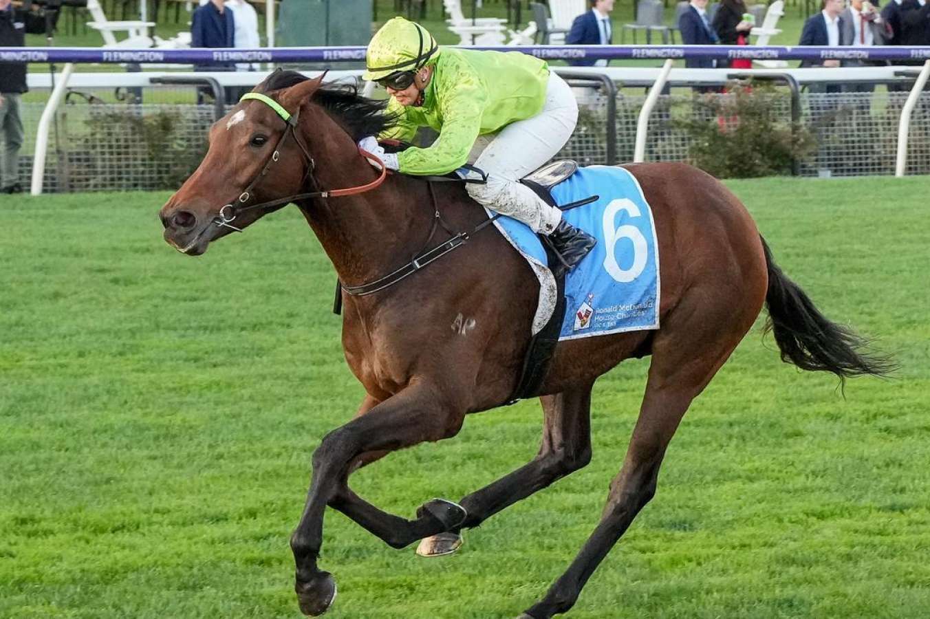 Punters' best bets multi for racing on Saturday, September 28