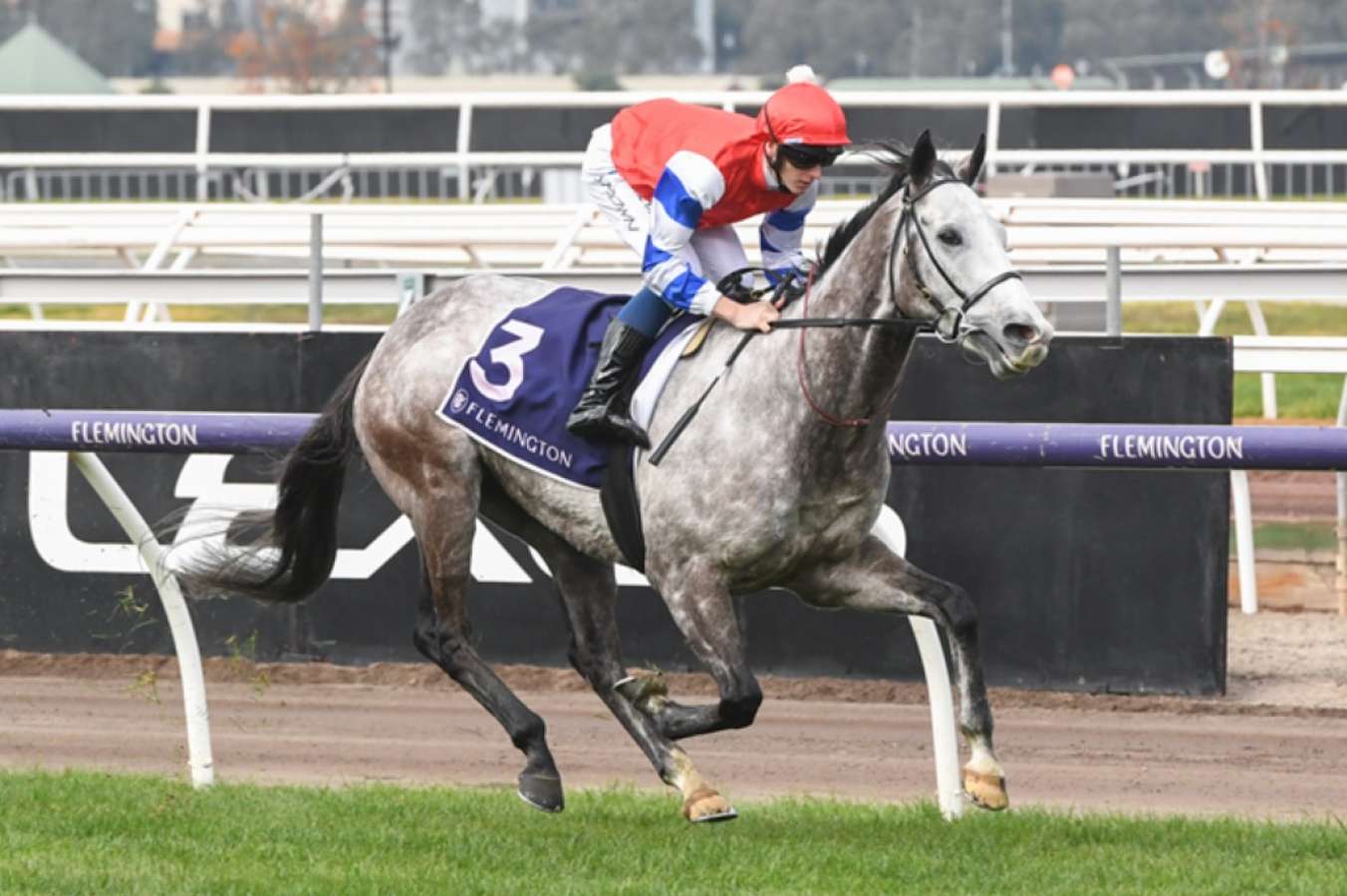 Punters post-race: Saturday racing in review [July 6]