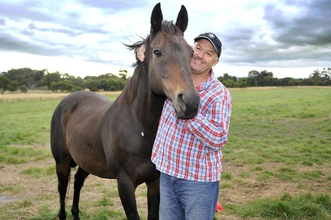 David Hayes likens Mr Brightside to famed superstar