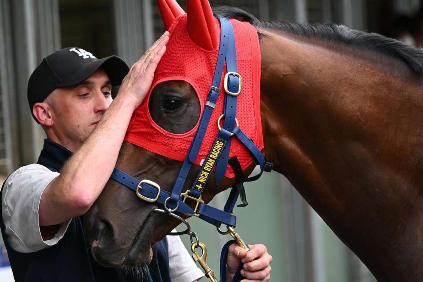 Horse racing tips: Bendigo best bets for Tuesday, December 3, 2024