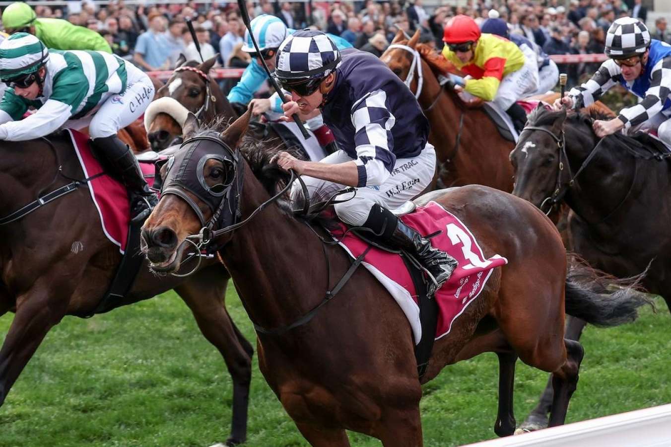 Billy Egan looks at positives in wide Ballarat Cup barrier