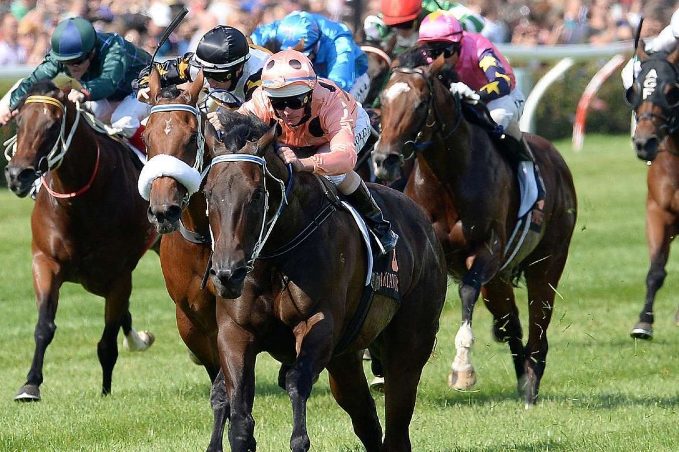 Black Caviar's grandson Keysborough set for race debut at The Valley