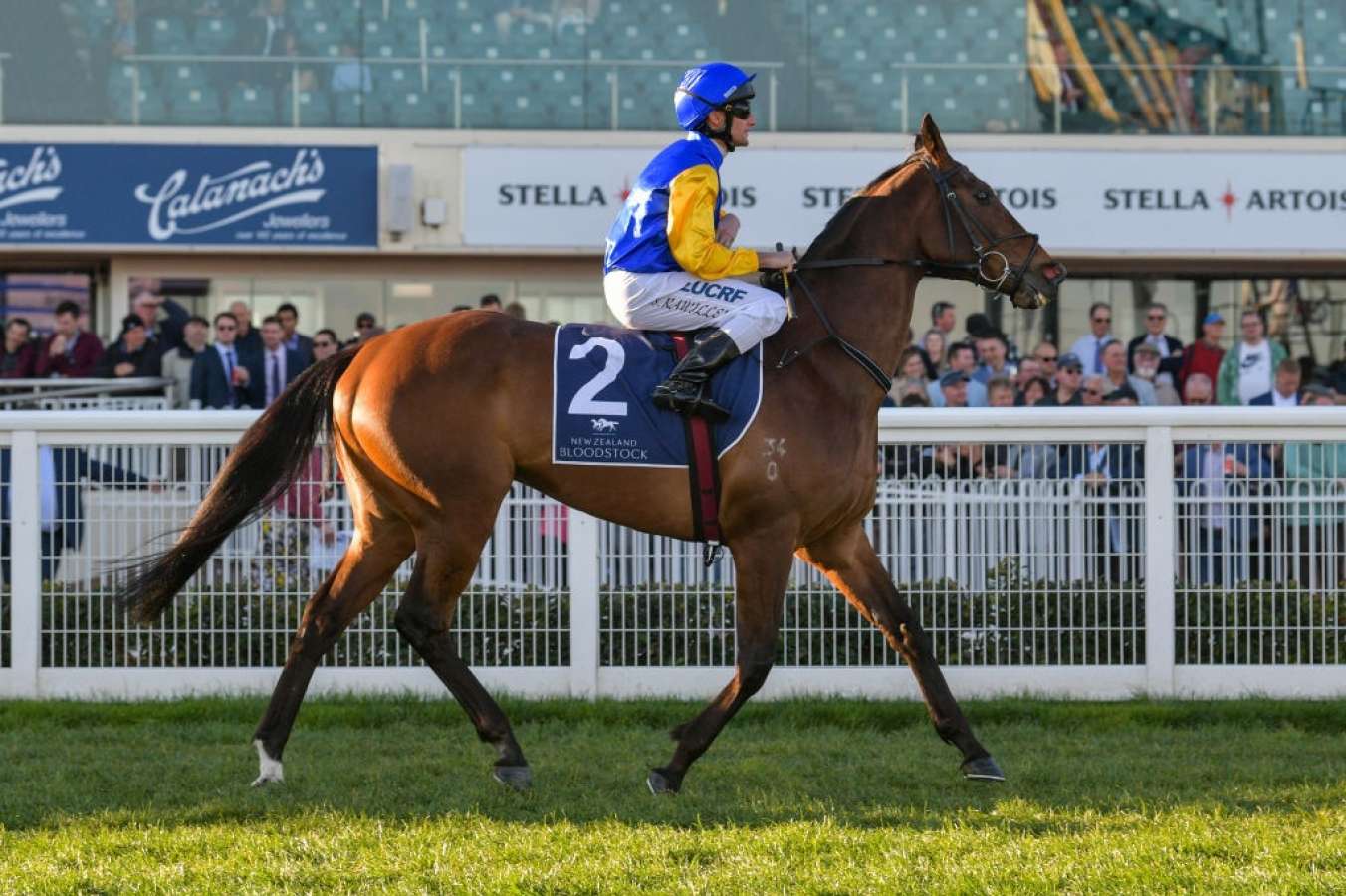 Smith sheds tear on Bart return