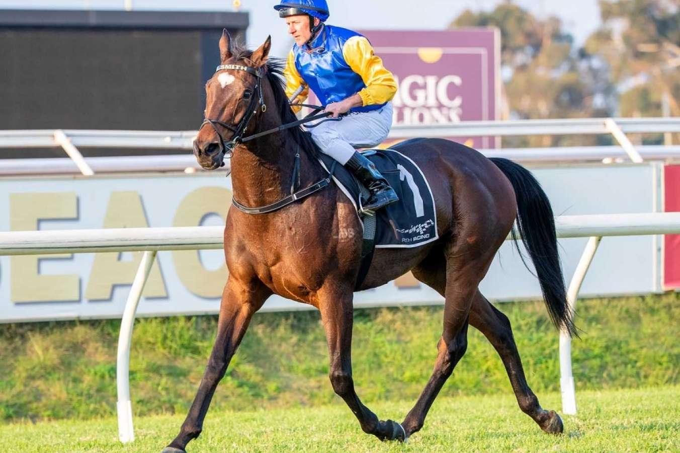 Group One star Black Heart Bart retired
