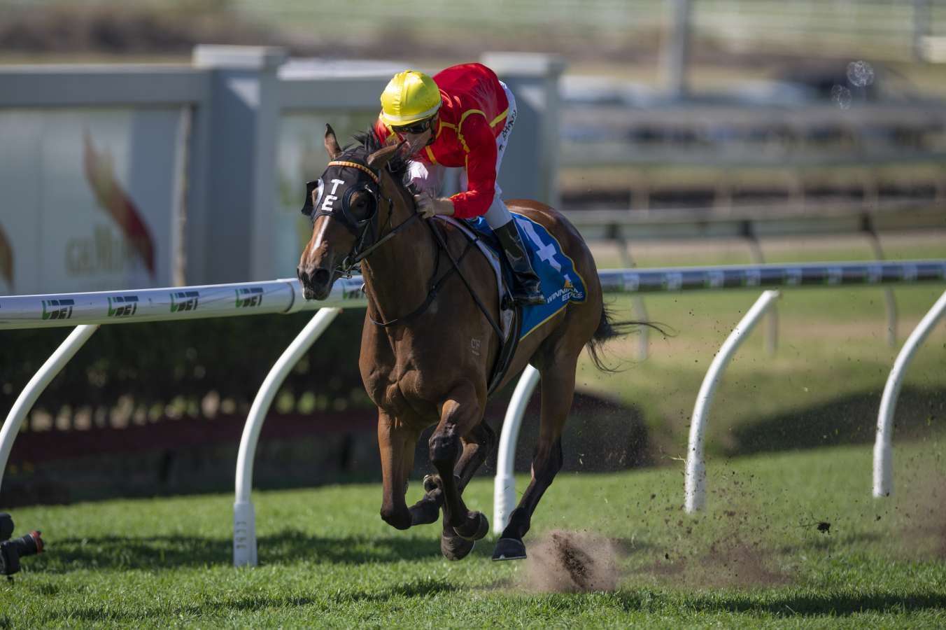 Blake Shinn reunites with Toby Edmonds