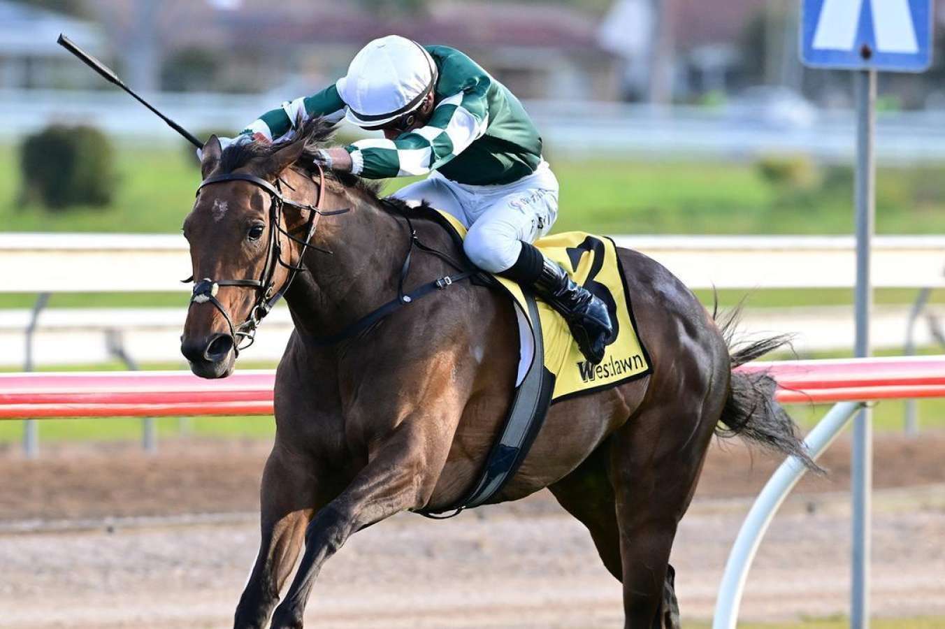 Blake Shinn and Deny Knowledge defy their rivals to win the Listed ...
