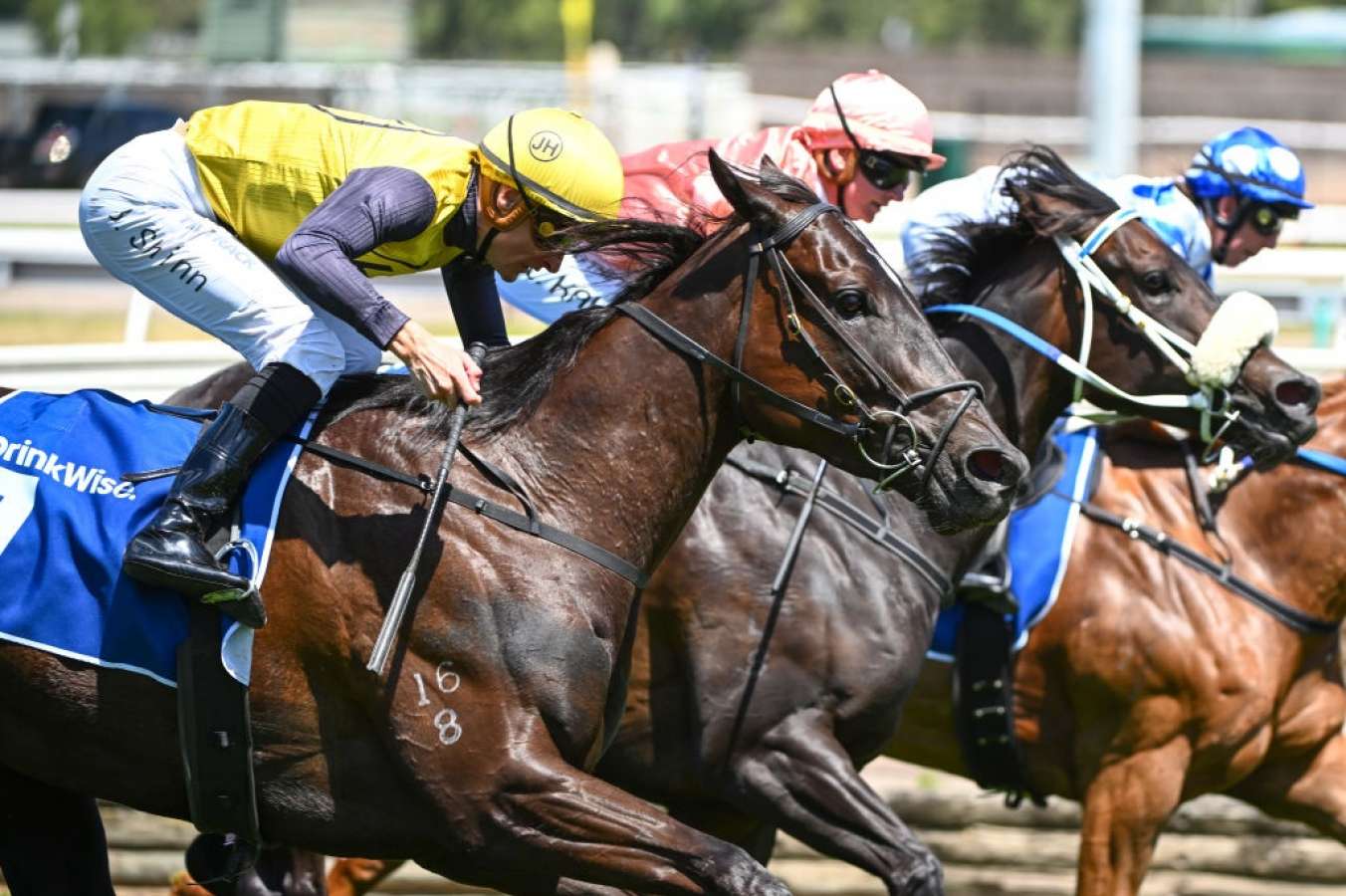 Blake Shinn hit with suspension after 'gross breach' of whip rule ...