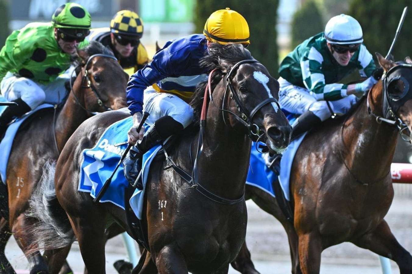 Tony McEvoy eyeing spring Group targets with The Valley winner Blue Stratum