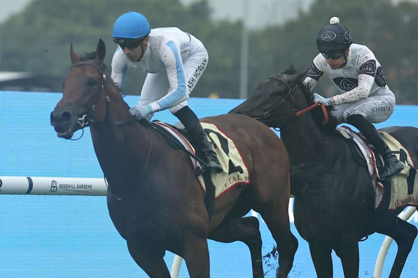 Private Harry continues rise through the ranks with victory at Rosehill