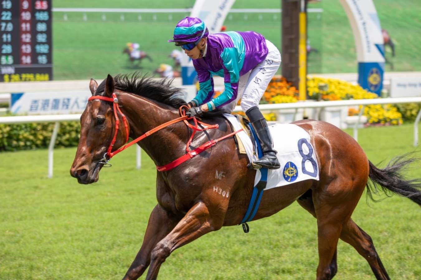 Sha Tin preview and tips: Saturday, July 1