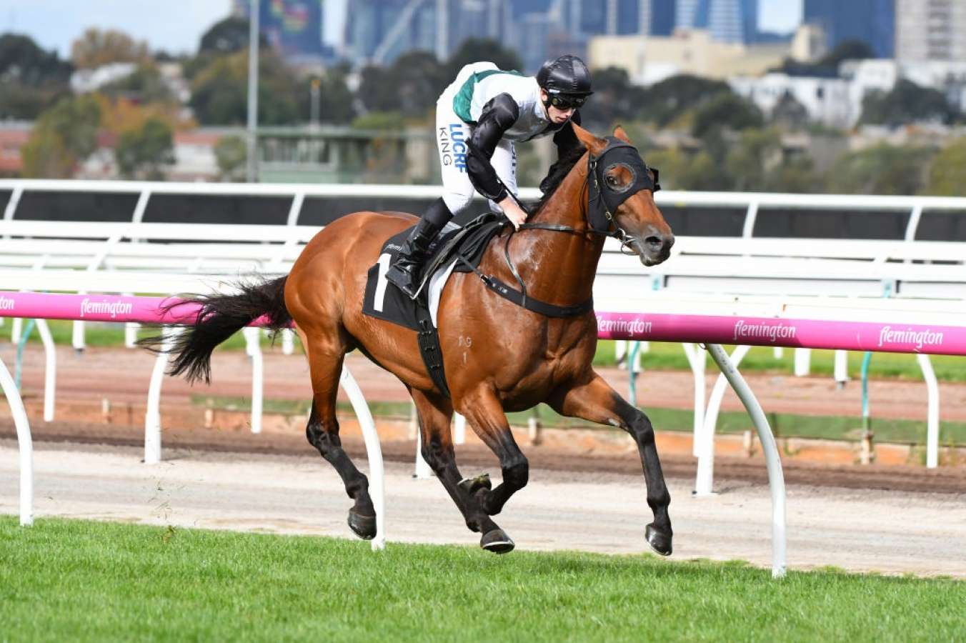 Last shot at pet trip for G1 winner