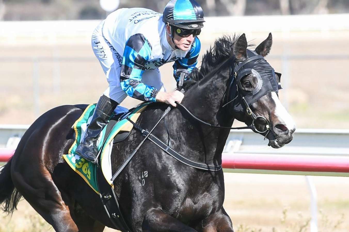 Best bets and expert tips for Tuesday's Hamilton races