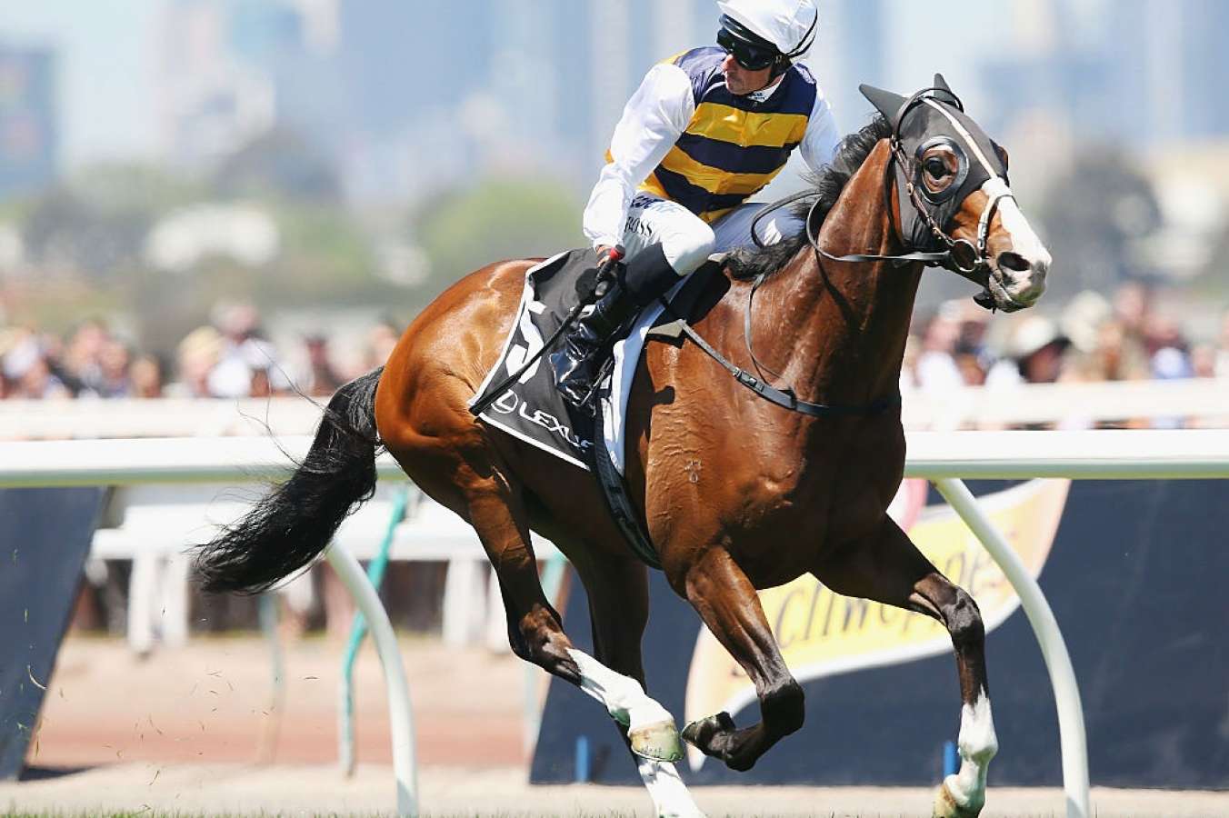 Meeting Tom Melbourne in 2023 - Where Is He Now?