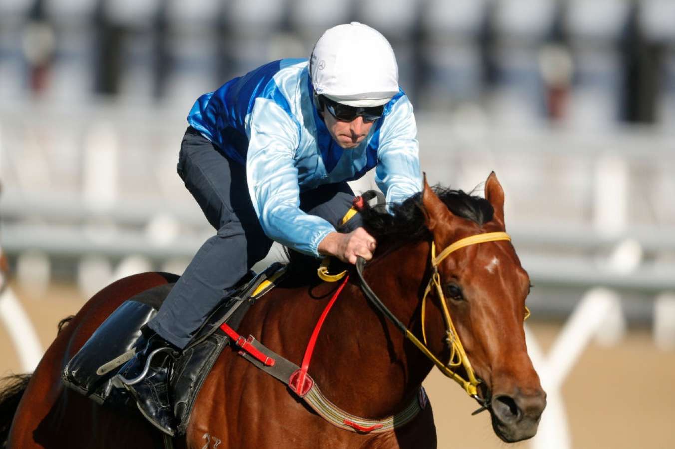 Stewards: The three points behind Hugh Bowman's Farnan ban