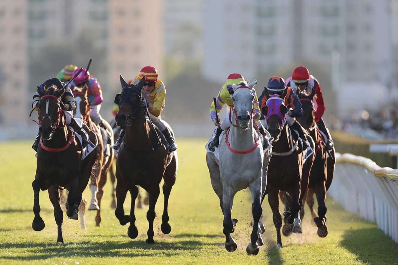 Sha Tin presenter tips and best bets: Tuesday, December 26