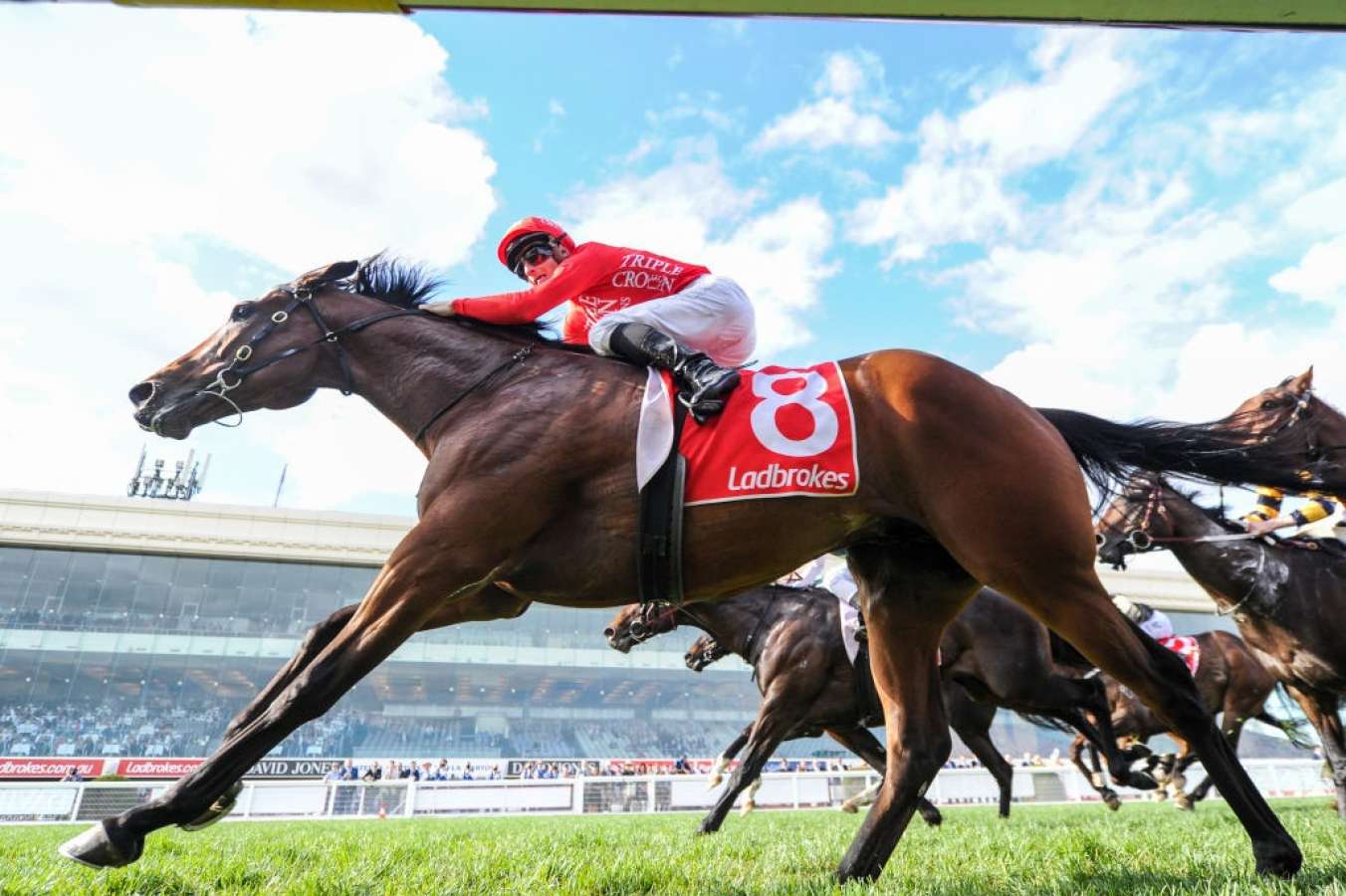 Brave Song after rich prize in The Hunter