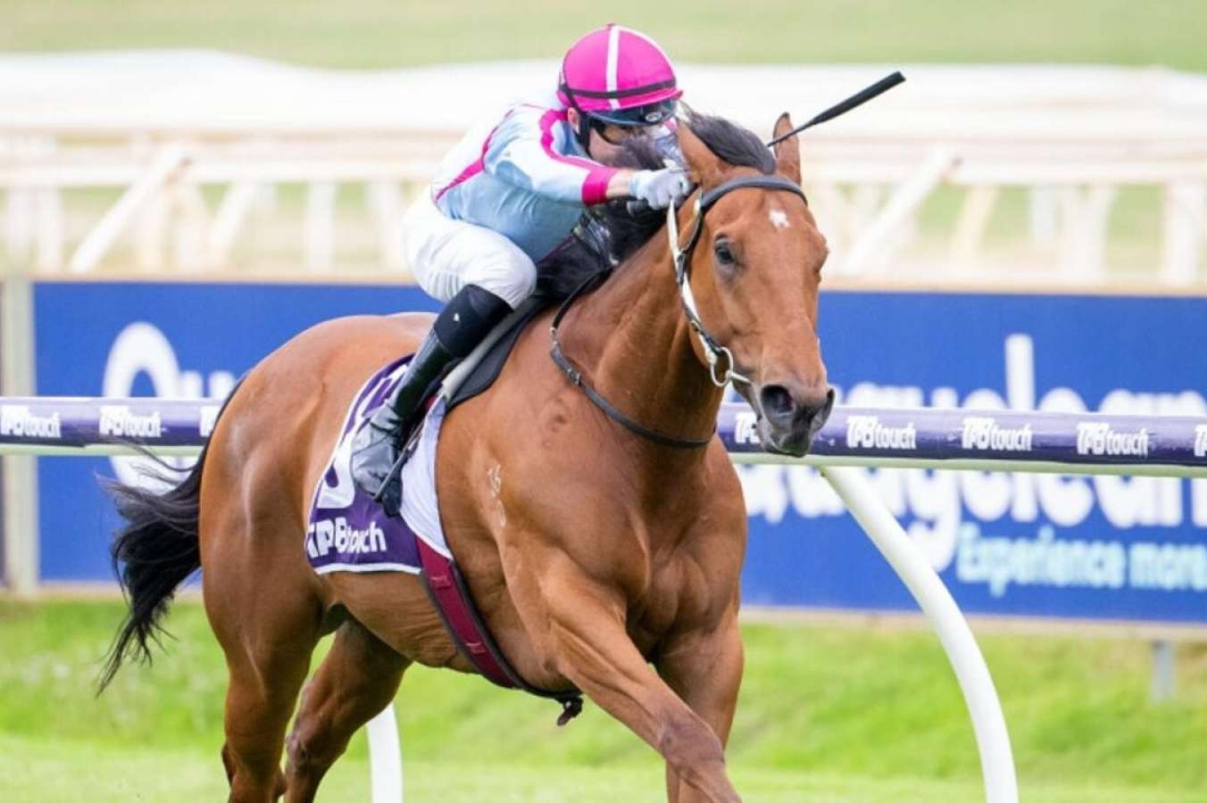 Bravo Centurion shooting for seventh straight win in Group 1 ...