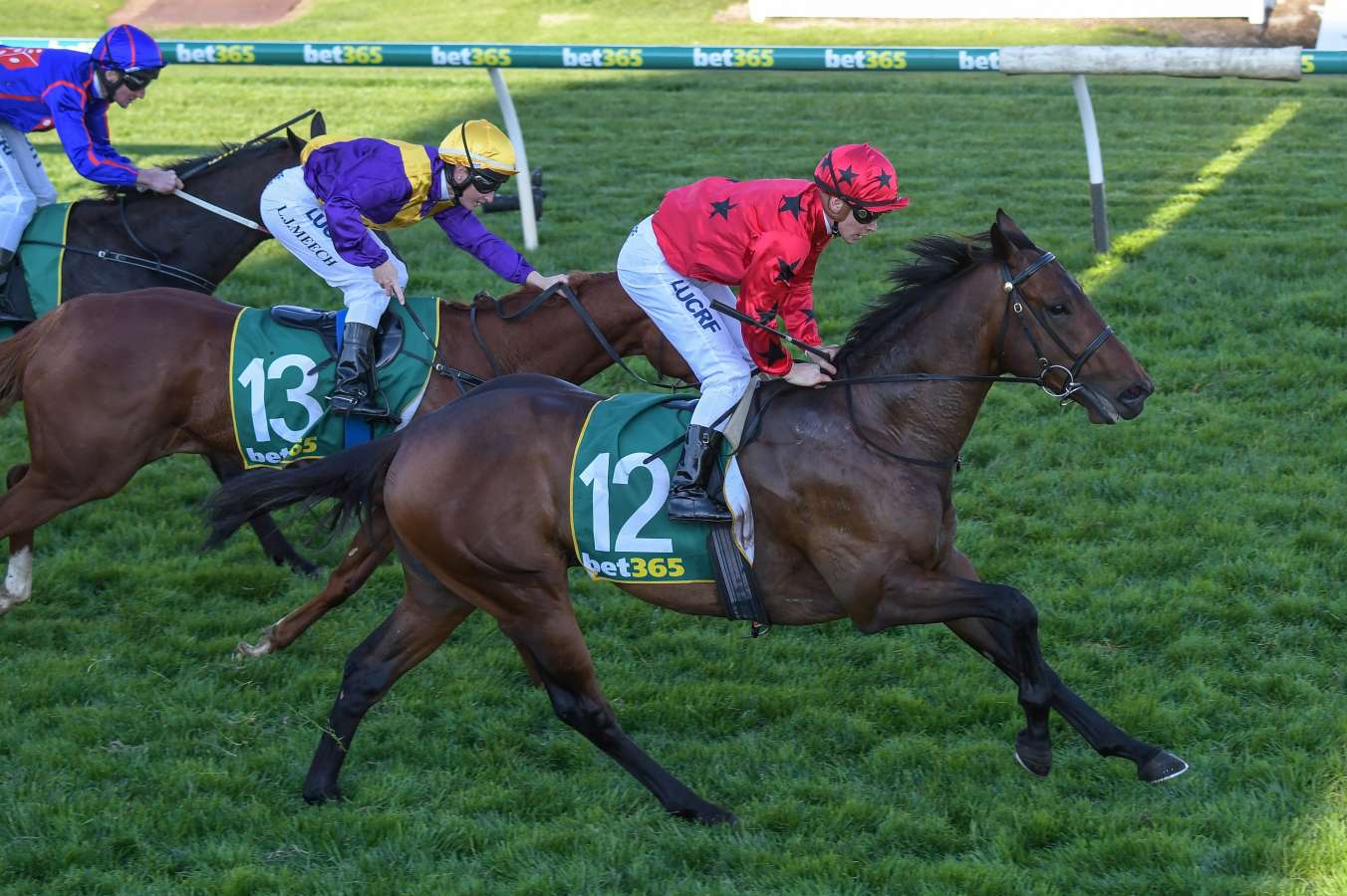 Manfred Stakes next step for Bravo Tango