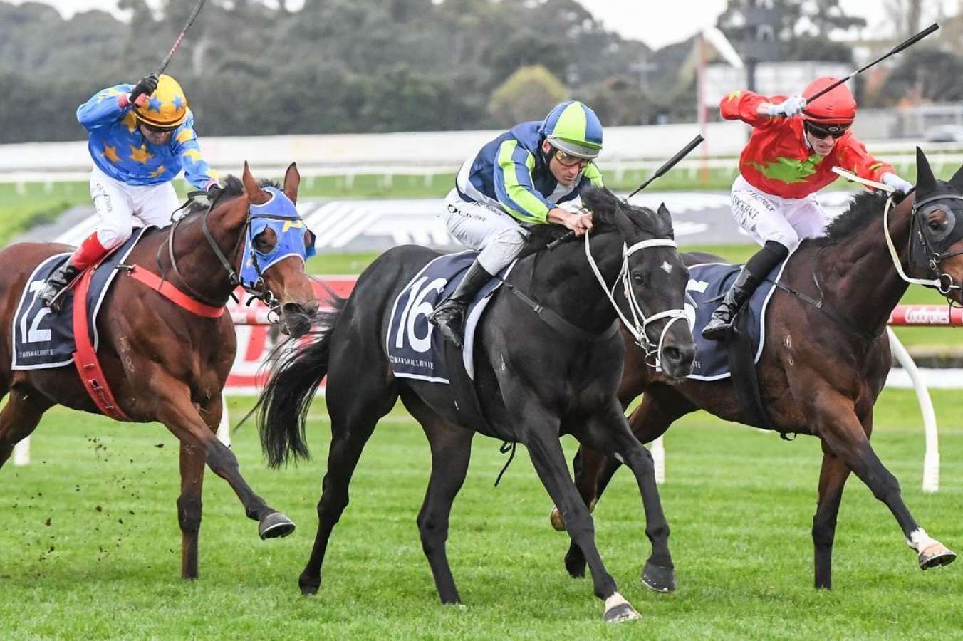 Sandown Hillside review: Horses to follow and forgive