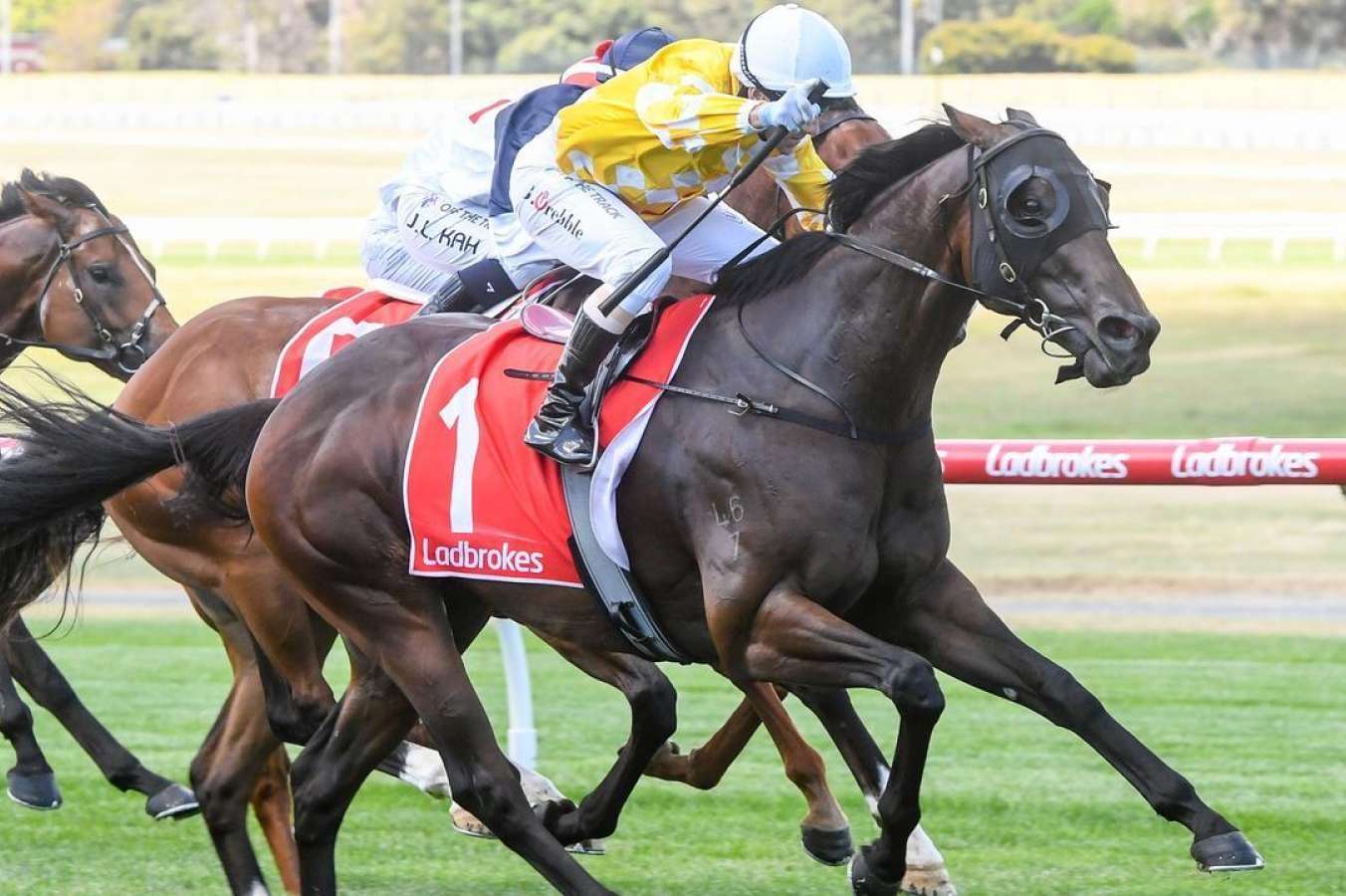 Brett Prebble gets it right with On The Lead at Sandown