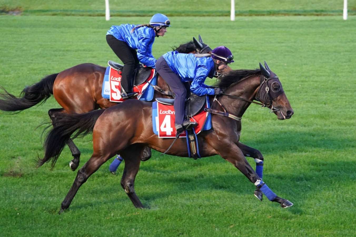 James Cummings previews his Saturday team