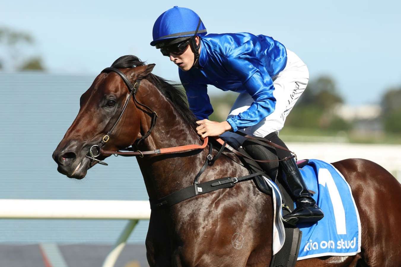 The rundown on Godolphin's Saturday team