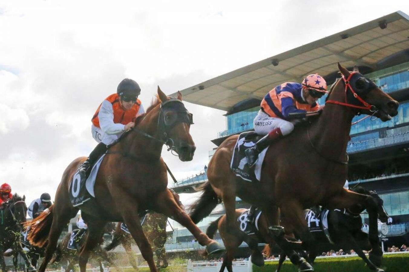 Racing: Saturday Selections - The Ingham Day | Odds