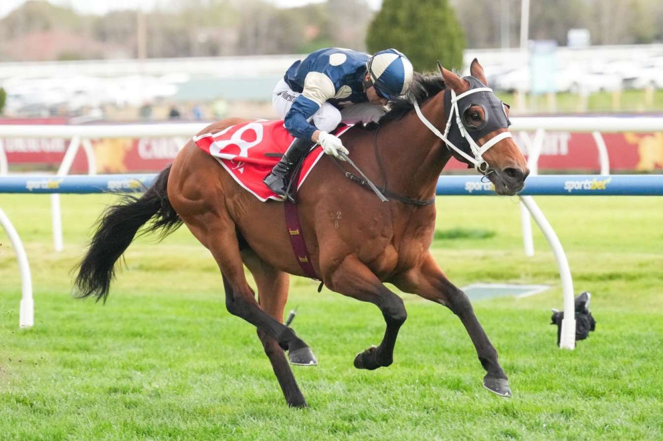 Punters post-race: Underwood Stakes Day in review